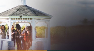 Duck Walk Vine Tour — Where Tradition Meets Innovation | hamptonswinetour